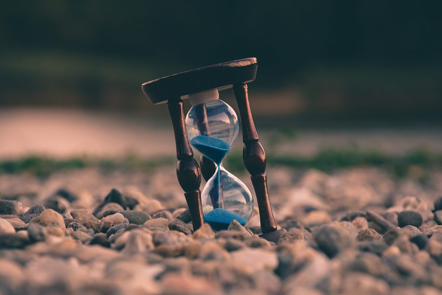 Time: An Abundance of Life | Reading.Guru